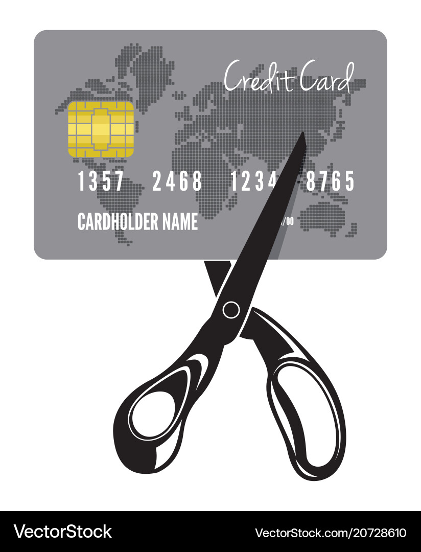 Credit card Royalty Free Vector Image - VectorStock