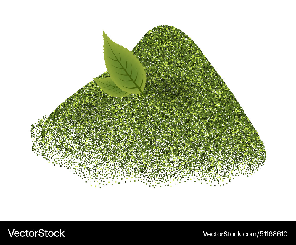 Matcha green tea powder splash realistic pile Vector Image