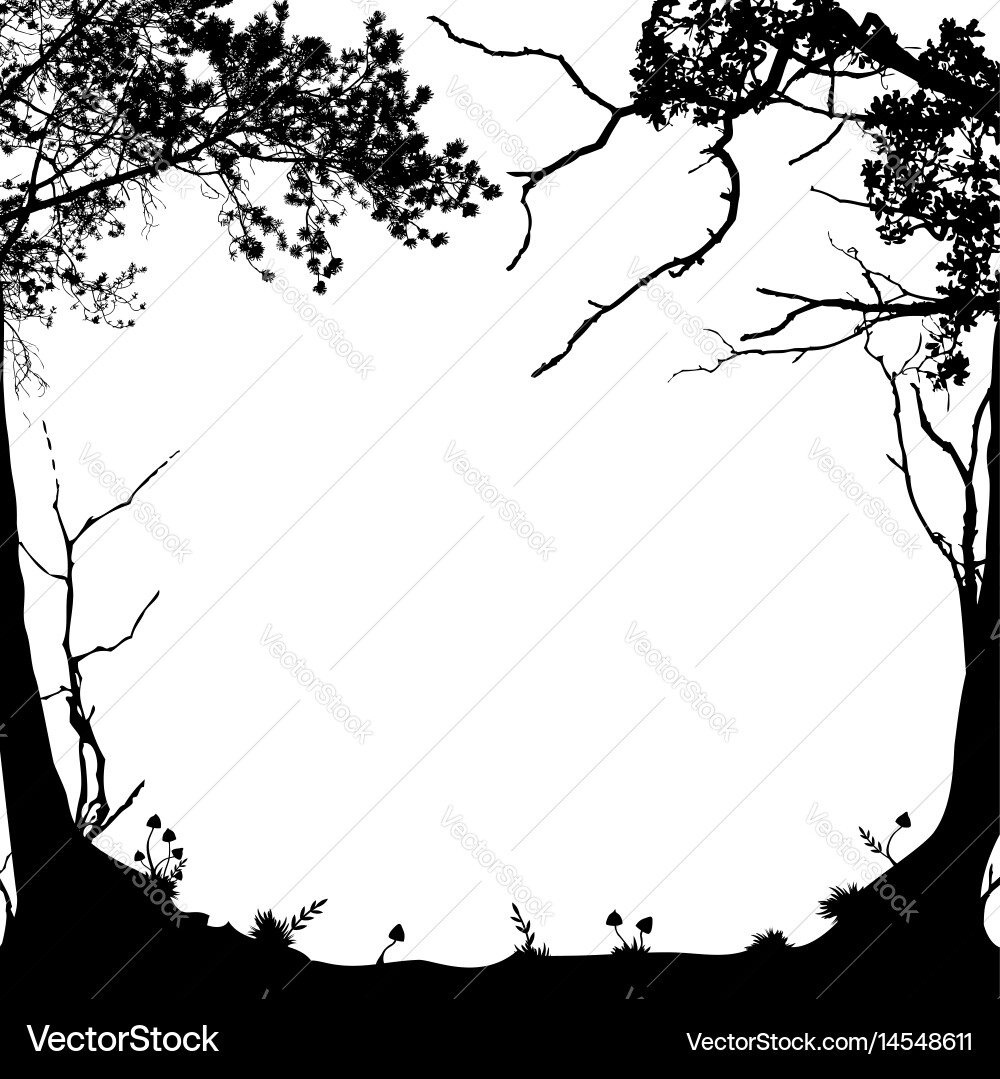 Forest Frame Silhouette Royalty Free Vector Image