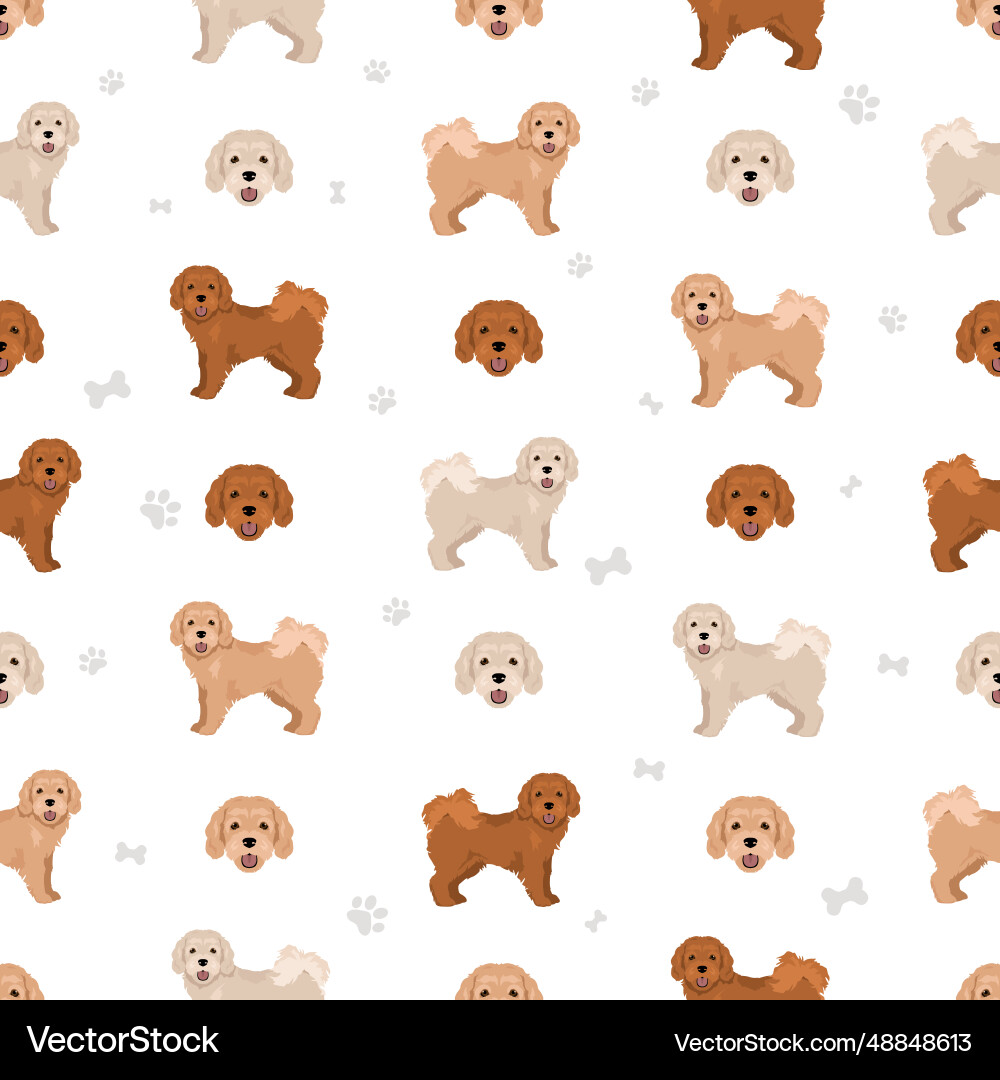 Cavapoo mix breed seamless pattern Royalty Free Vector Image