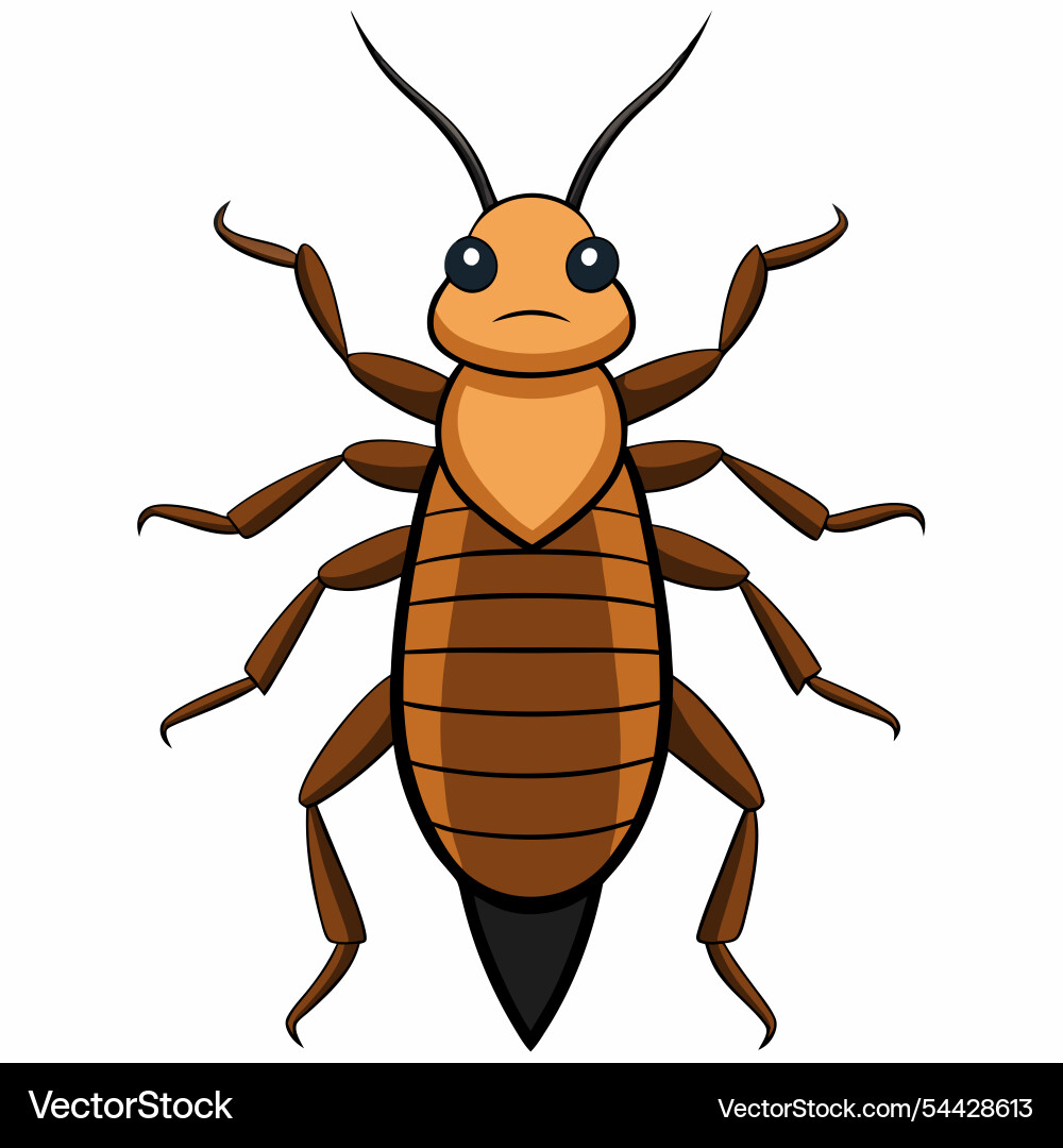 Cricket insect flat on white background Royalty Free Vector