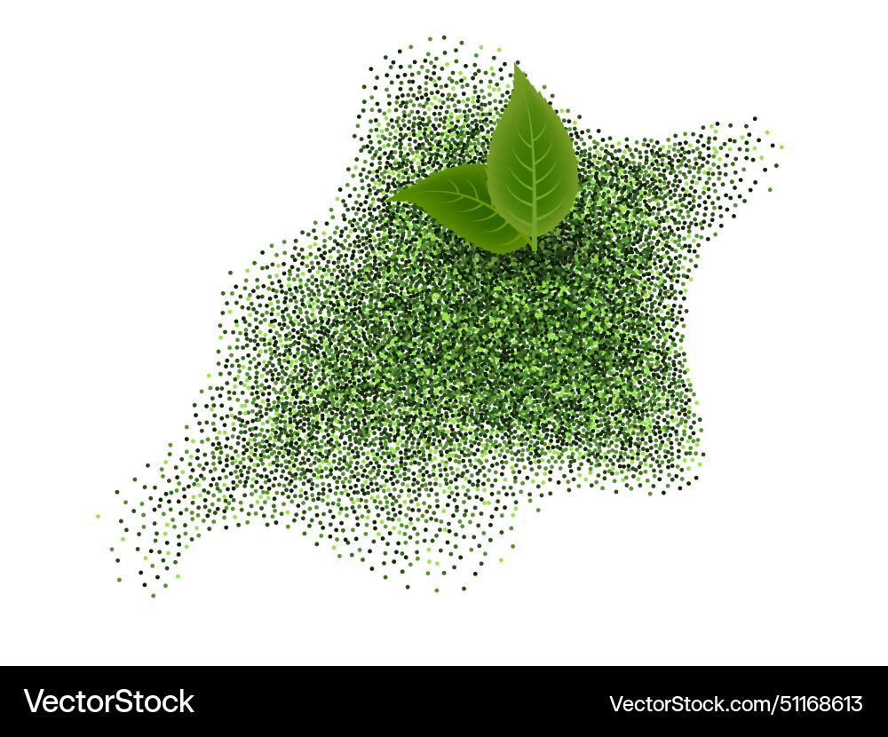Matcha green tea powder splash with leaves Vector Image