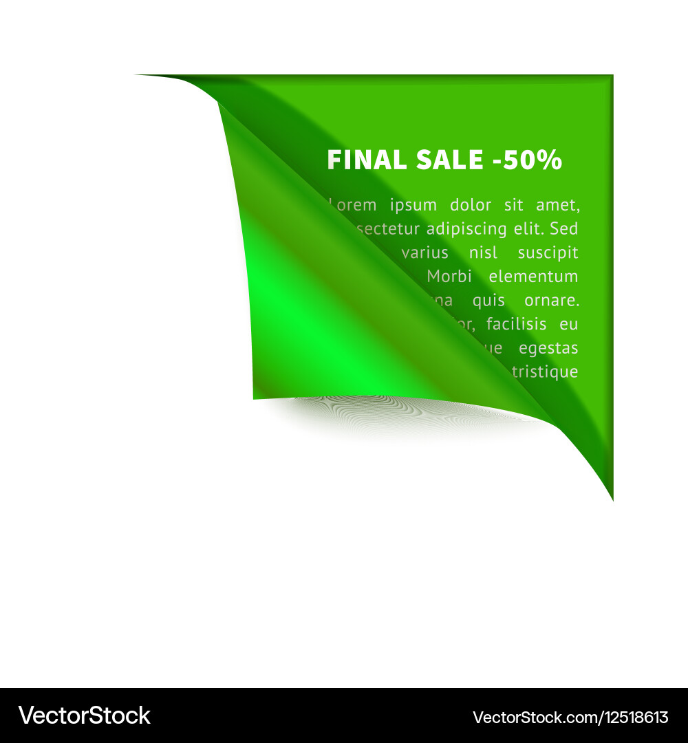 Realistic white paper which gets rolled up Vector Image