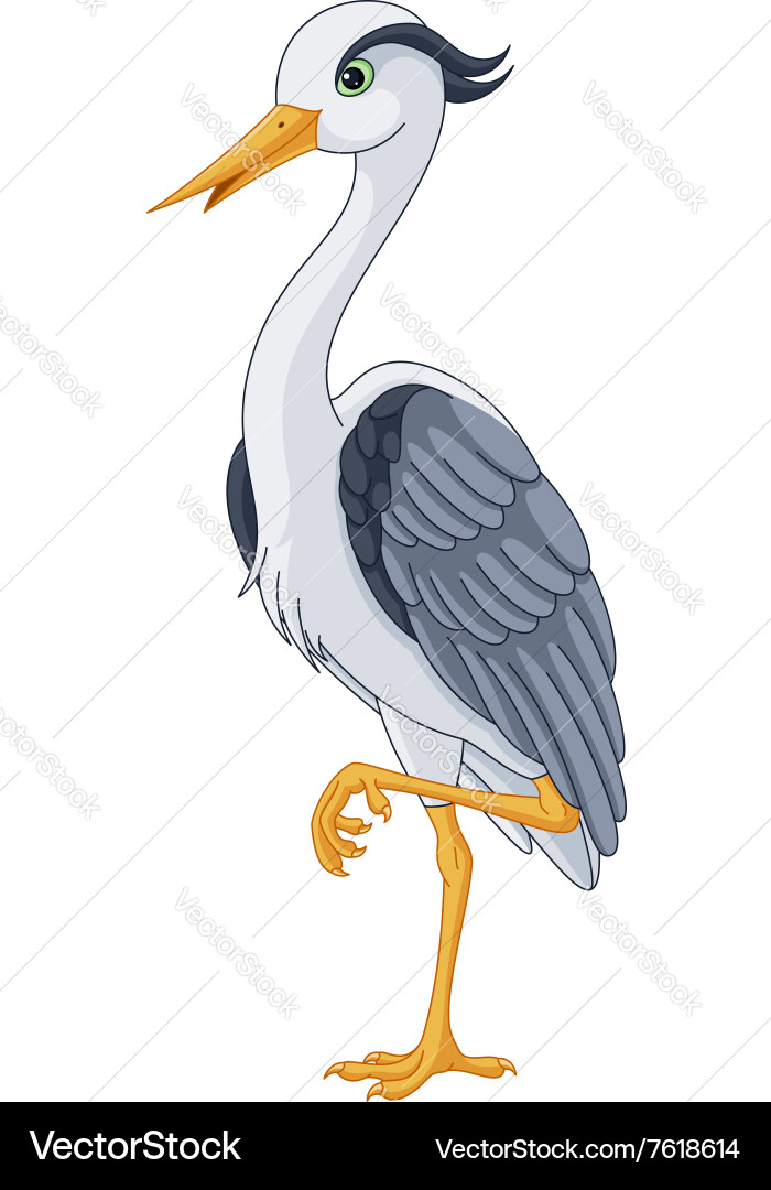 Grey heron Royalty Free Vector Image - VectorStock