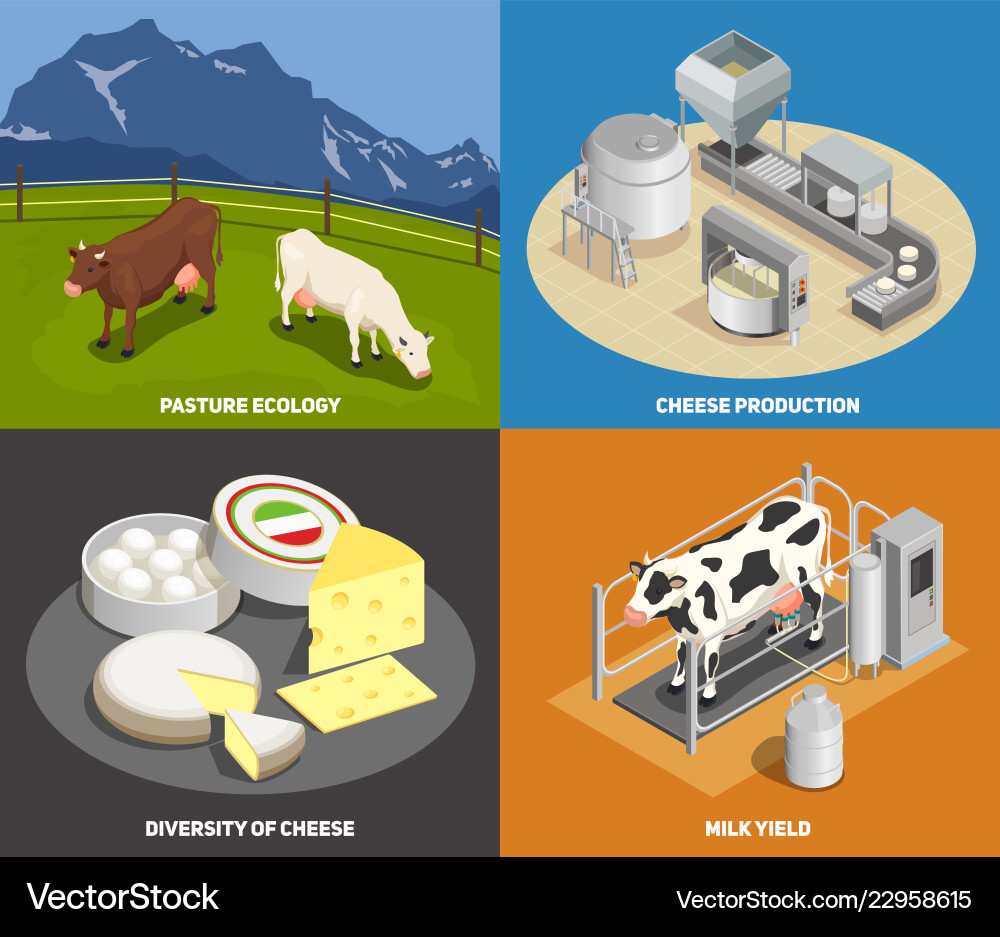 Cheese production 2x2 design concept Royalty Free Vector