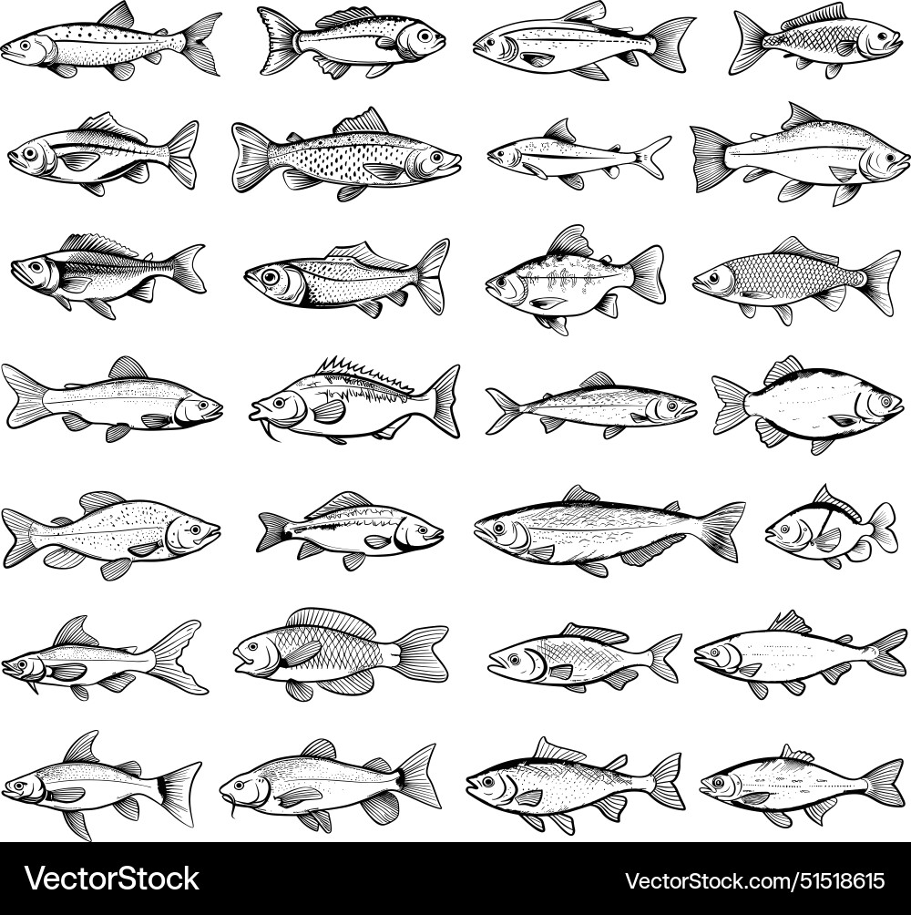 Doodle style river fish icons hand drawn simple Vector Image