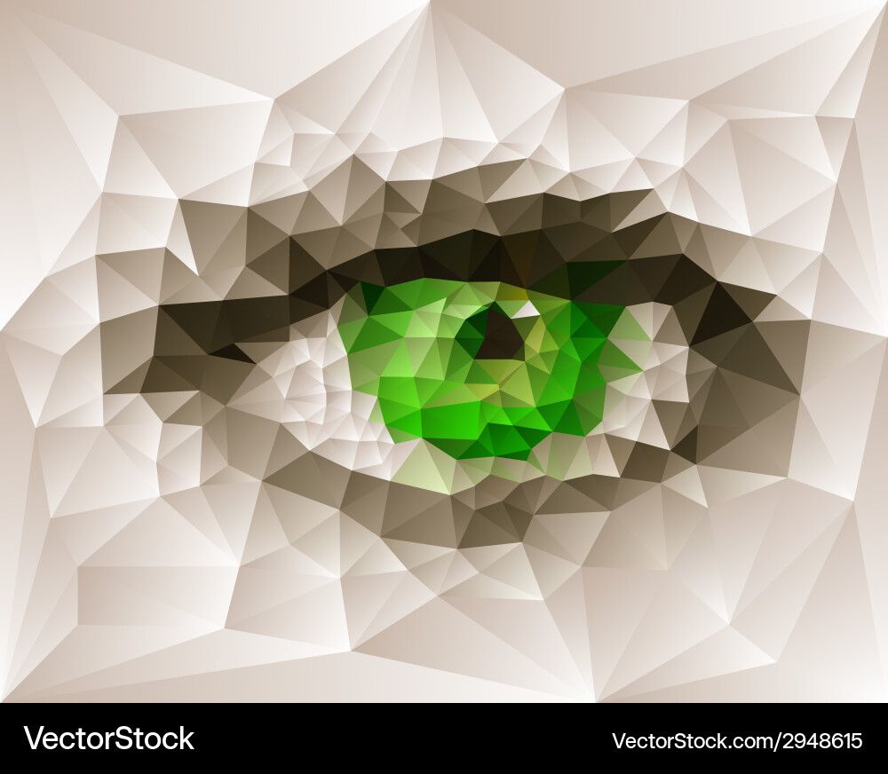 Female eye created from polygons Royalty Free Vector Image