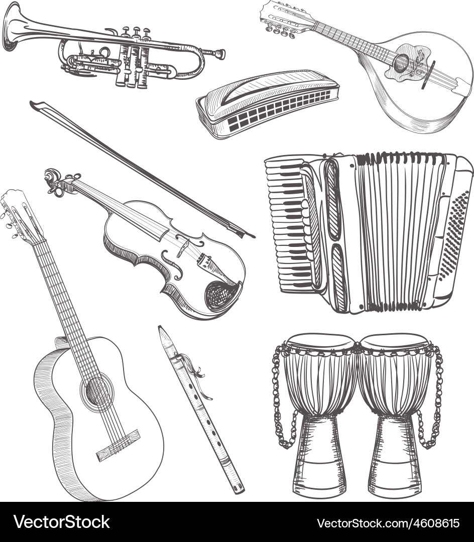 Musical instruments Royalty Free Vector Image - VectorStock