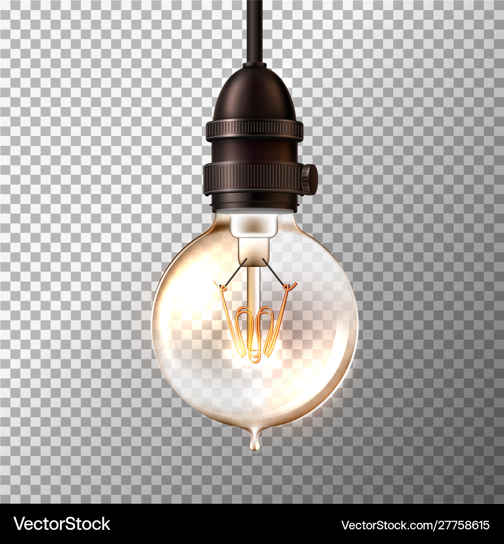 Retro light bulb on transparent background Vector Image