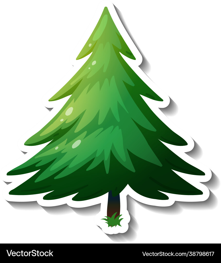 An evergreen tree sticker on white background Vector Image