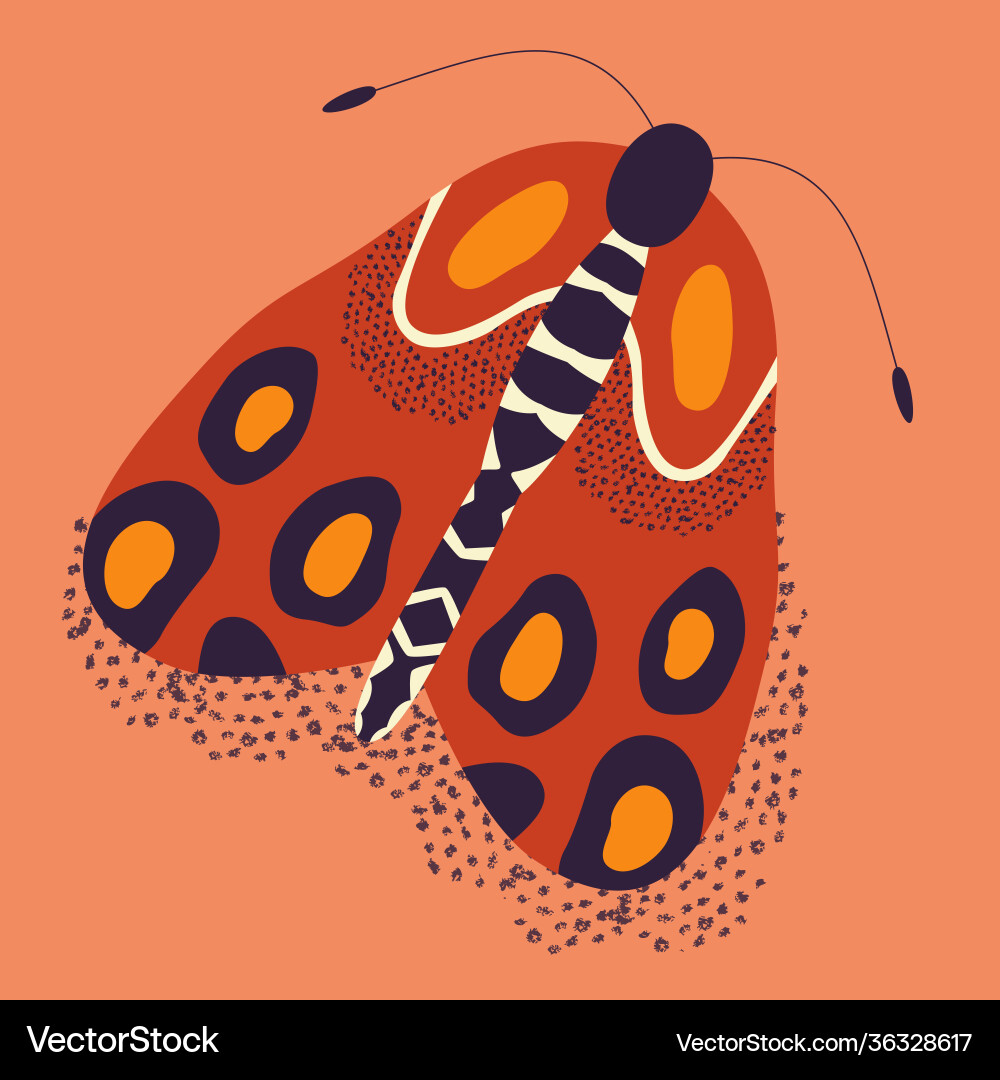 Colorful hand drawn moth stylized Royalty Free Vector Image