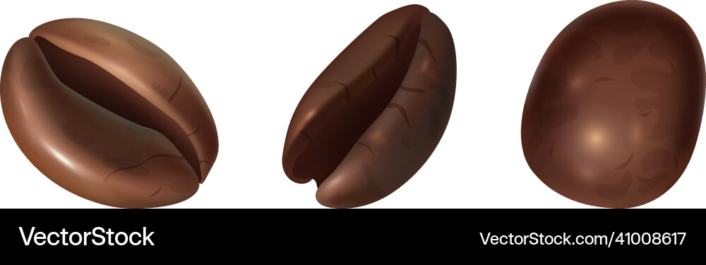 Roasted Coffee Beans Royalty Free Vector Image