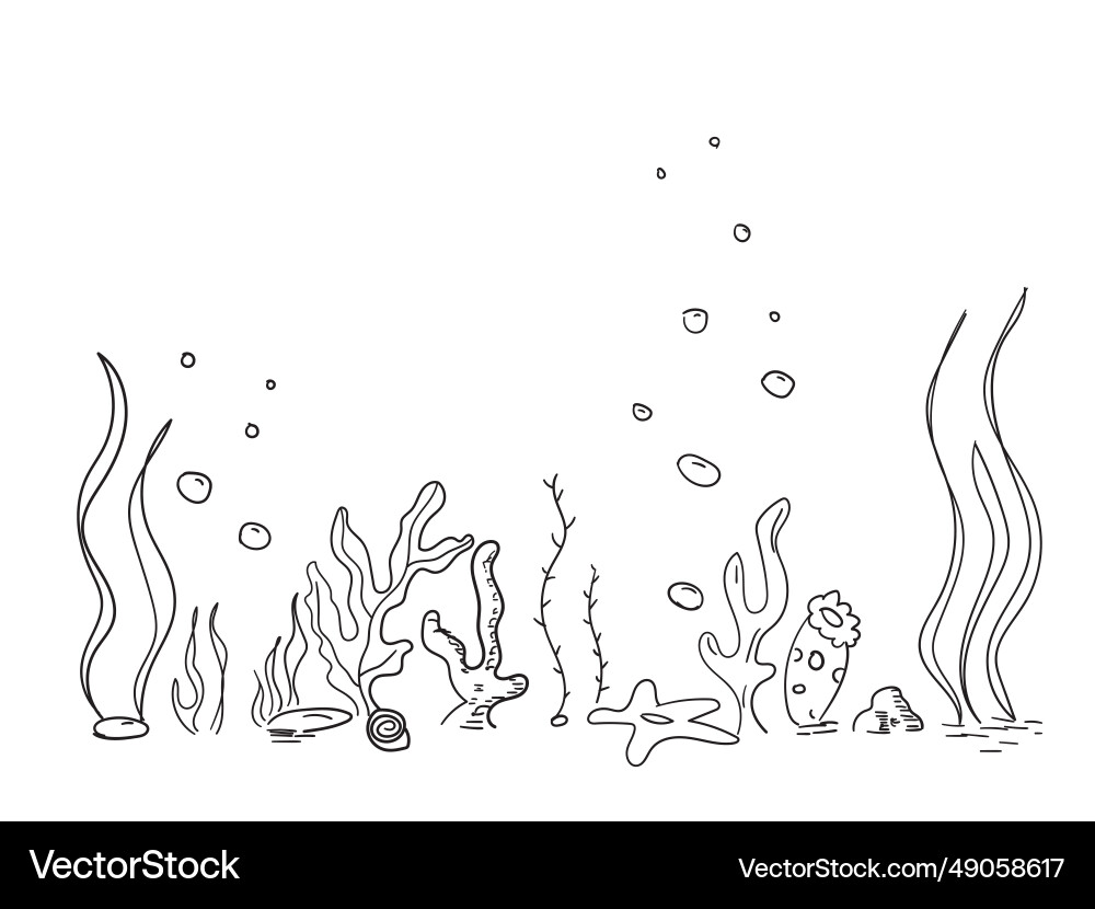 Underwater Seaweed Outline Royalty Free Vector Image