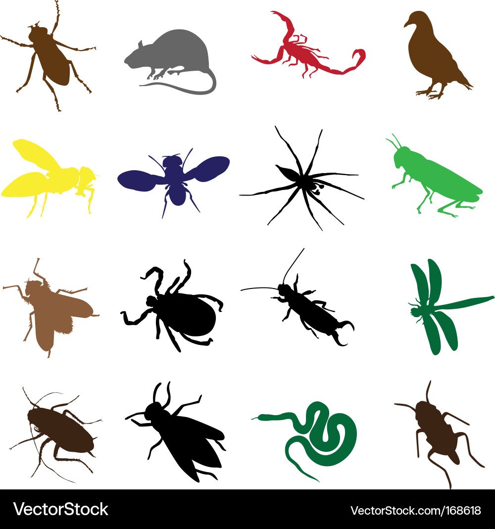 Rodent Royalty Free Vector Image - VectorStock