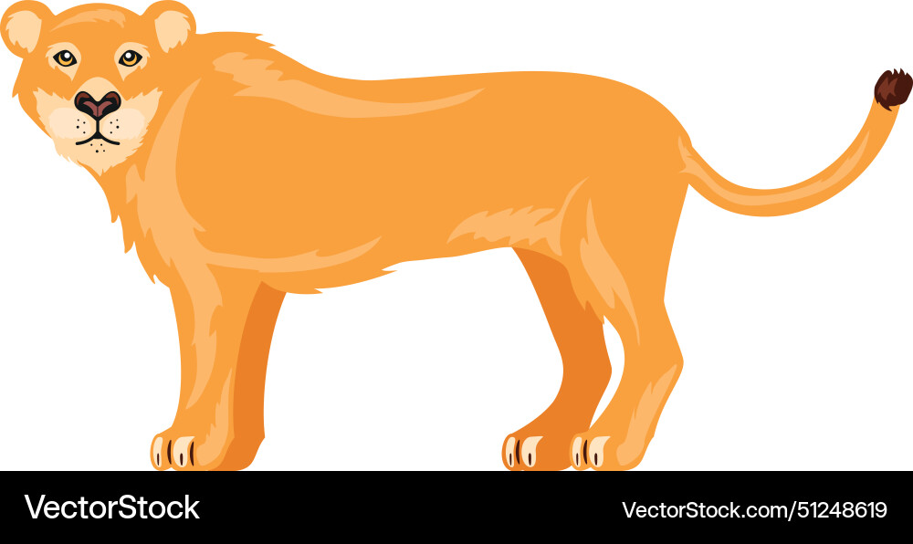 Lion predator female Royalty Free Vector Image