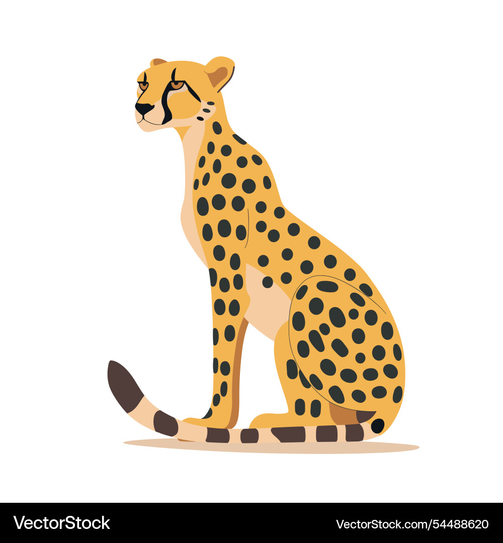 Cheetah sitting gracefully in a natural pose Vector Image