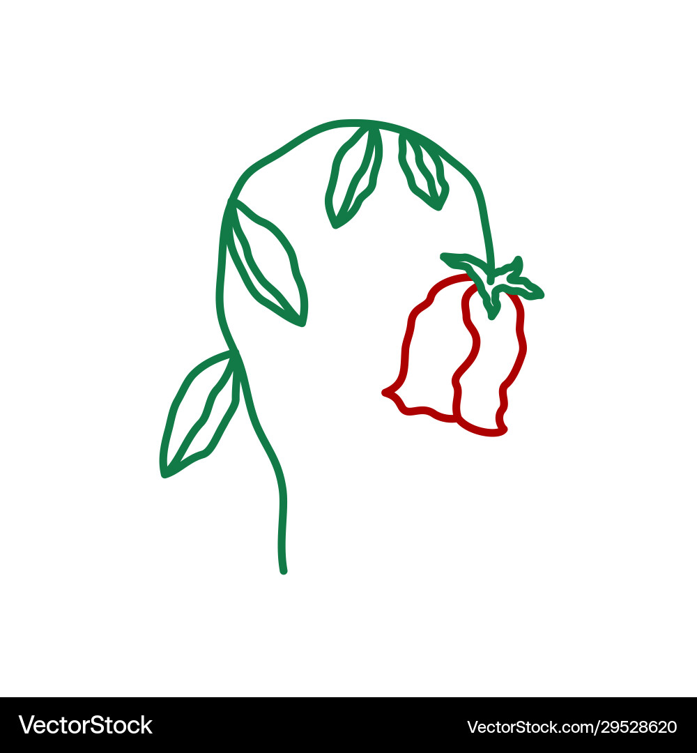 Dried Rose: Wilted Floral Symbol Royalty Free Vector Image