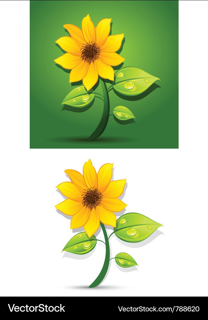 Yellow Sunflowers Royalty Free Vector Image - VectorStock