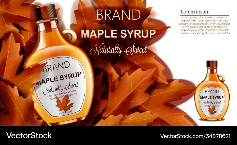 Bottle naturally sweet maple syrup submerged Vector Image