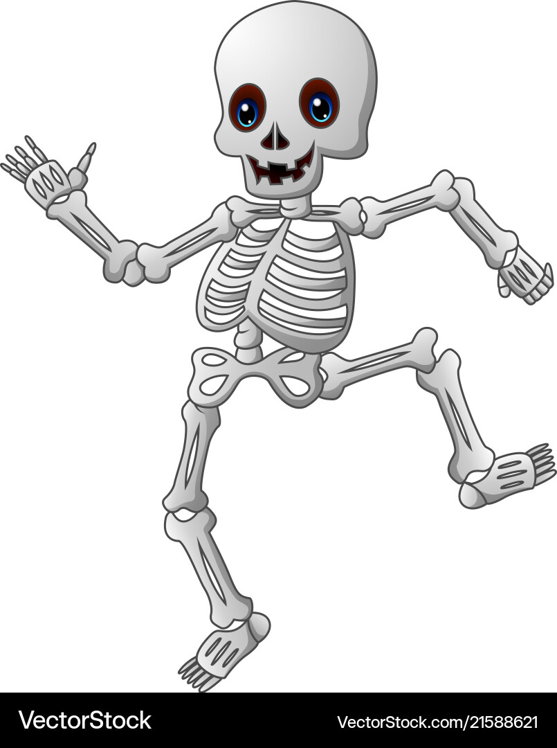 Cute Cartoon Skeleton Royalty Free Vector Image