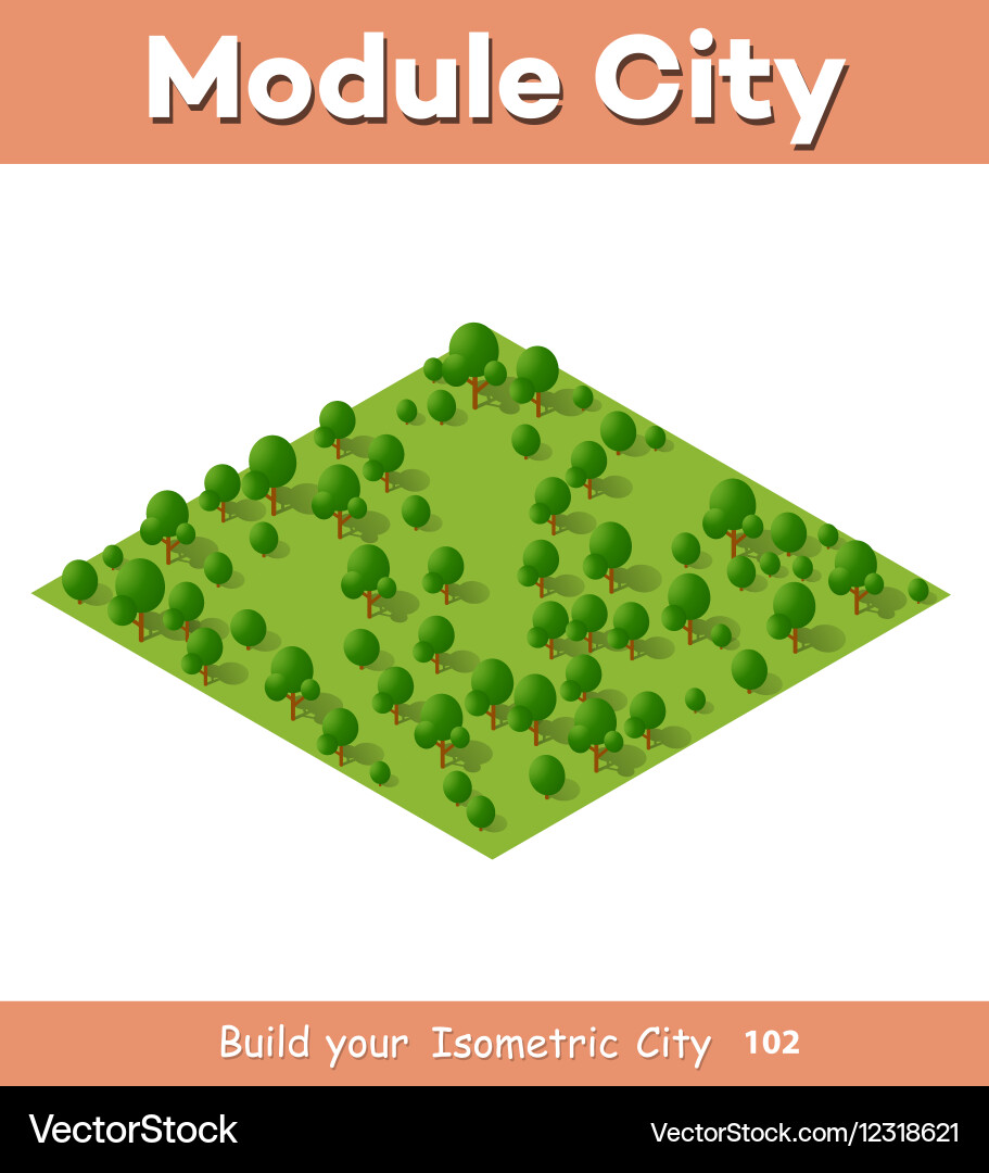 Isometric view projection Royalty Free Vector Image