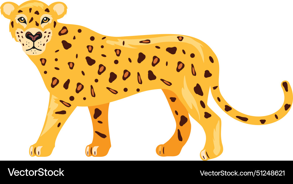 Leopard beast cartoon Royalty Free Vector Image