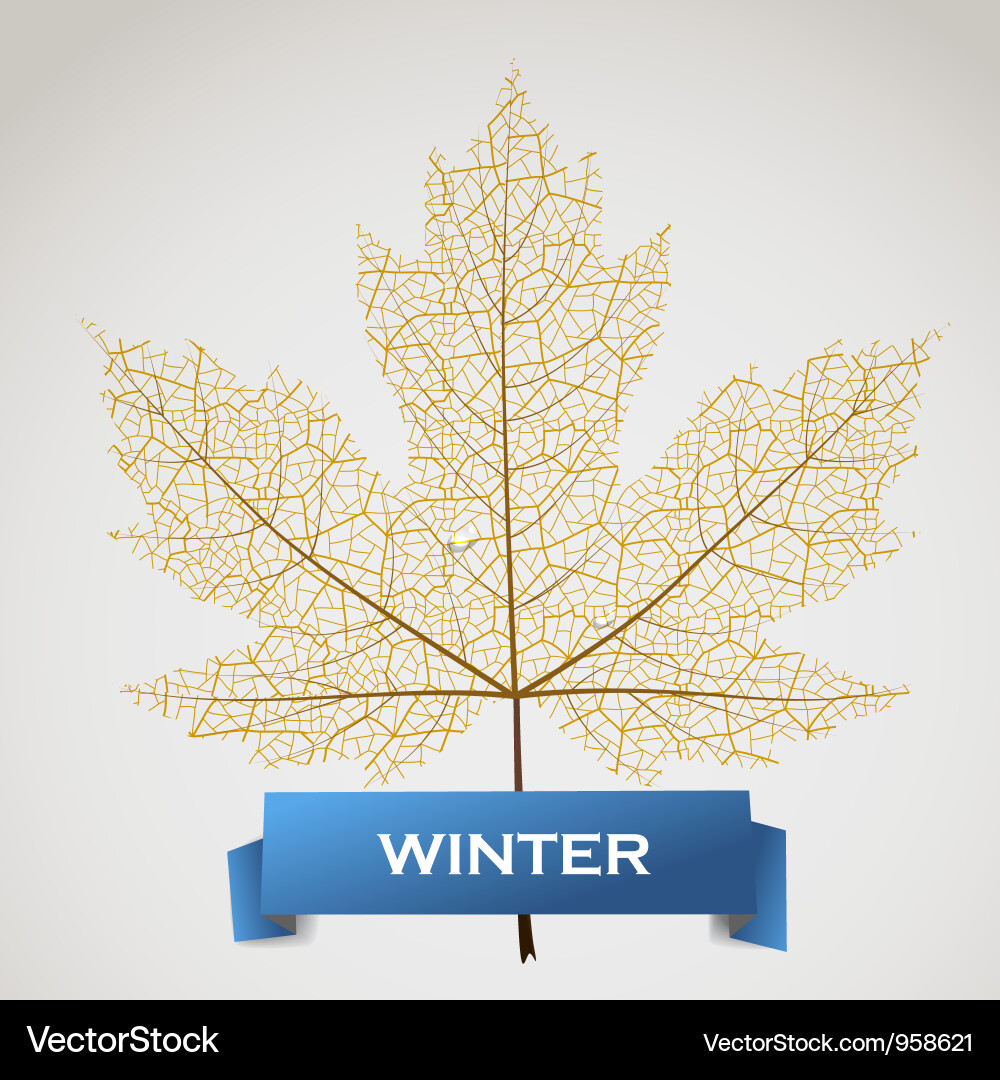 Winter Royalty Free Vector Image - VectorStock