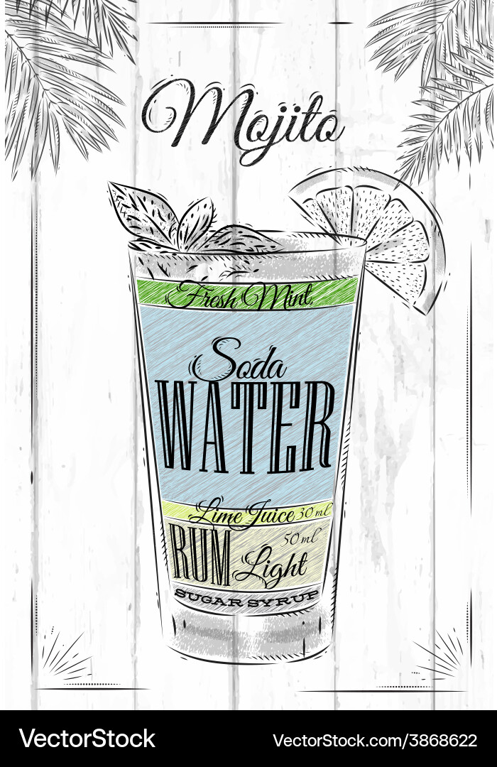 Mojito cocktail Royalty Free Vector Image - VectorStock