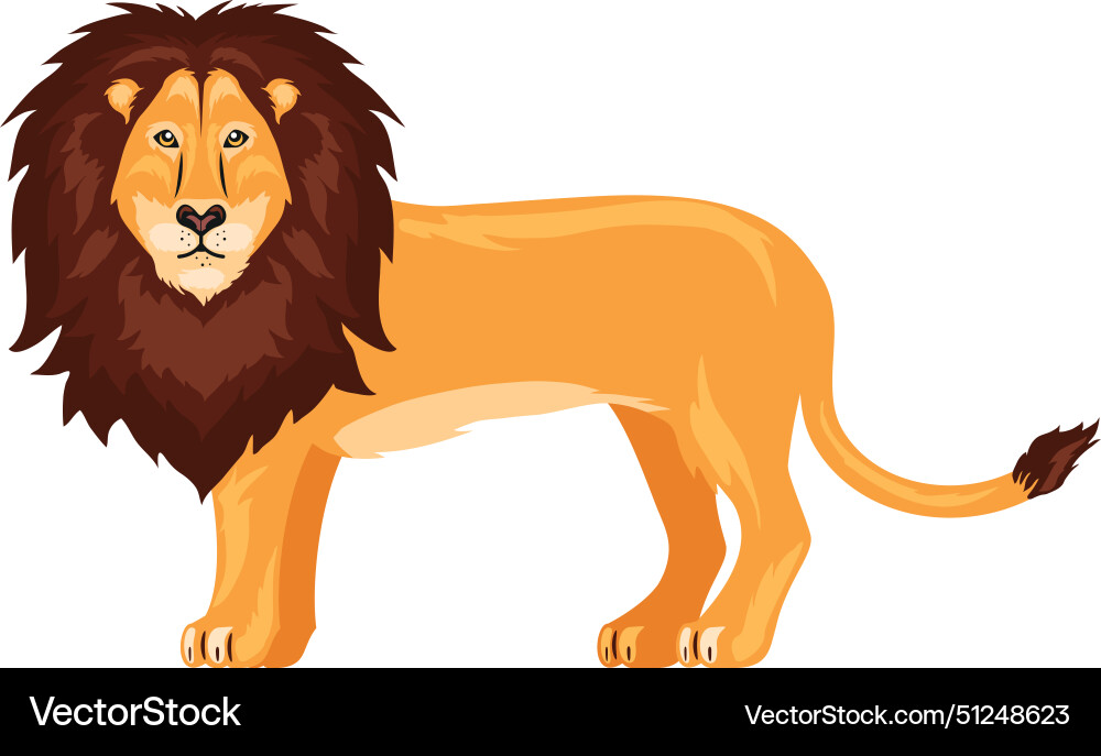 Lion animal isolated Royalty Free Vector Image