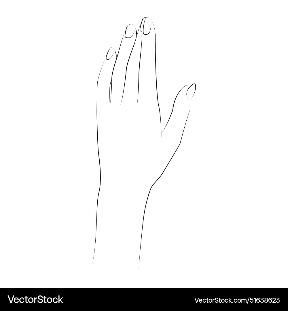 Womans lineart hand gesture linear female palm Vector Image