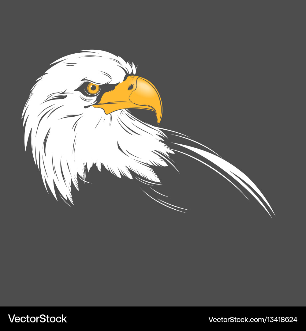 Eagle head on a dark background Royalty Free Vector Image