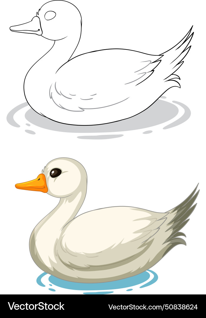 Two stylized ducks floating on water Royalty Free Vector