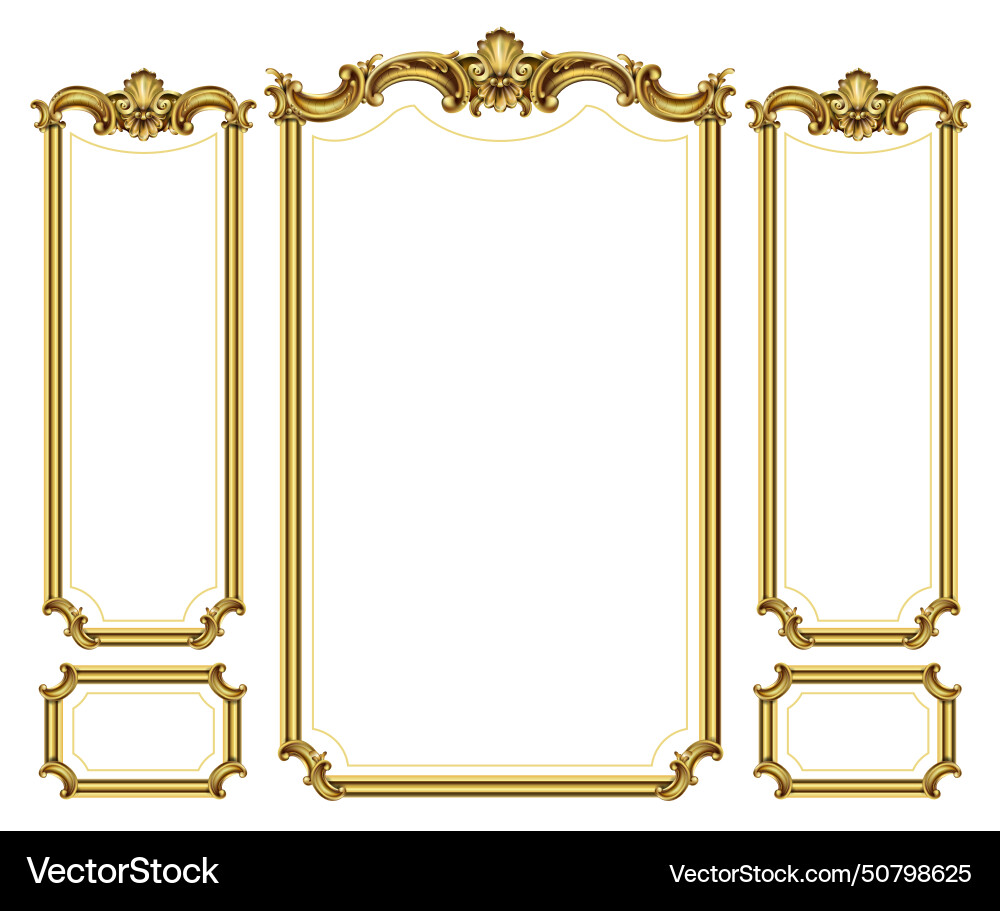 Golden panel baroque cabinet wall Royalty Free Vector Image