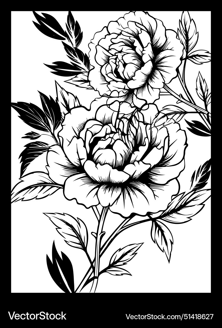 Black and white peonies flowers monochrome Vector Image