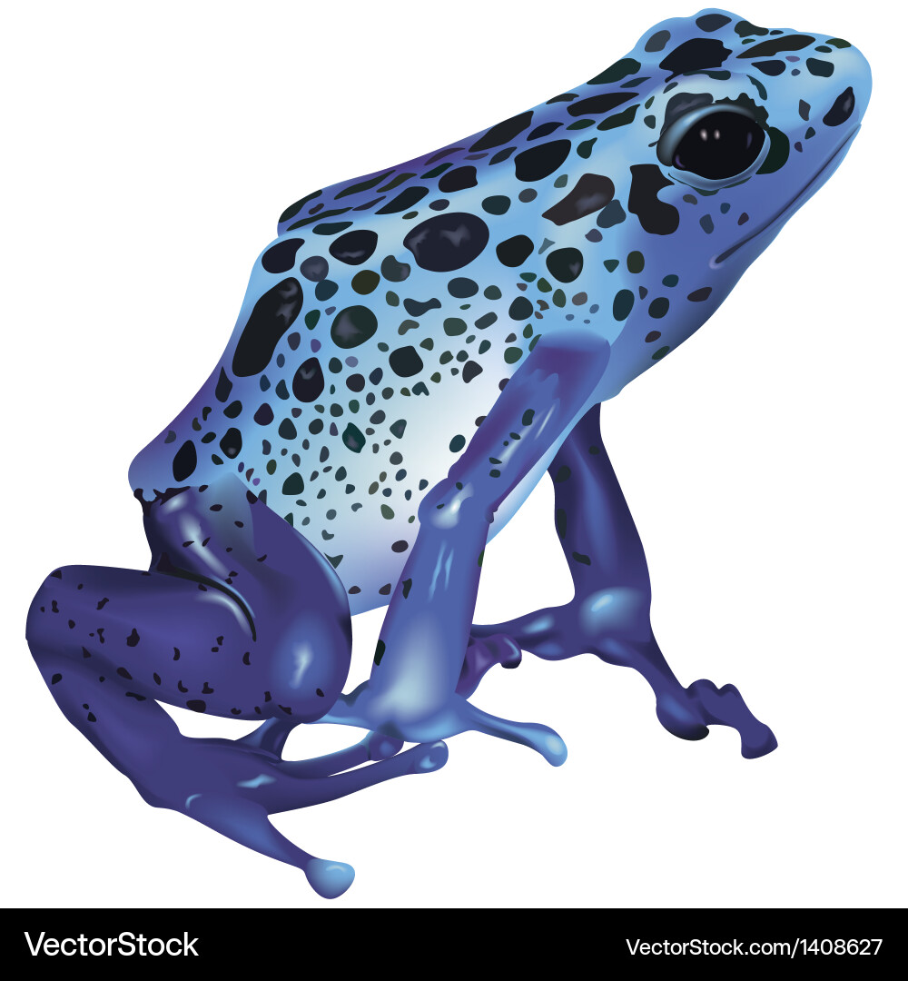 Poison frog Royalty Free Vector Image - VectorStock