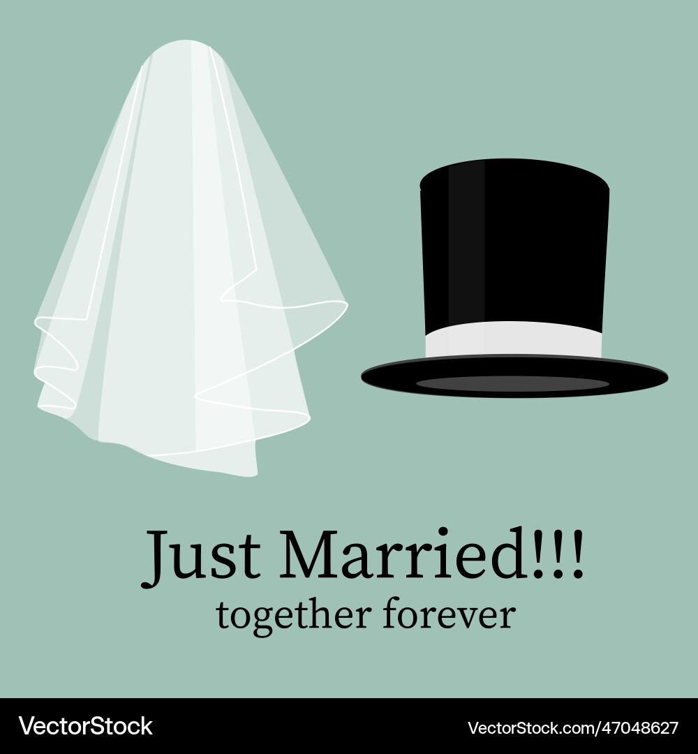 White bride veil and groom black cylinder Vector Image