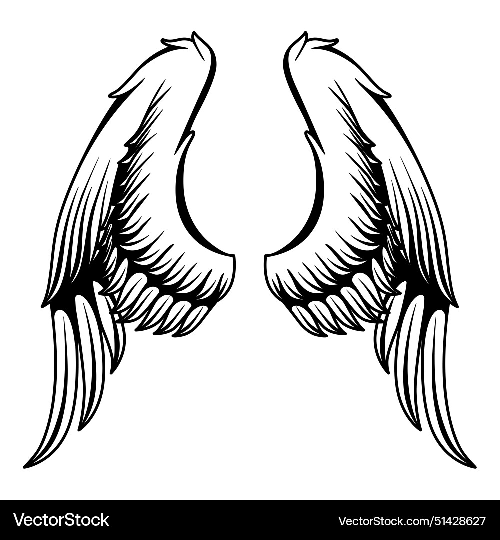 Wings sketch stylized birds hand drawn Royalty Free Vector
