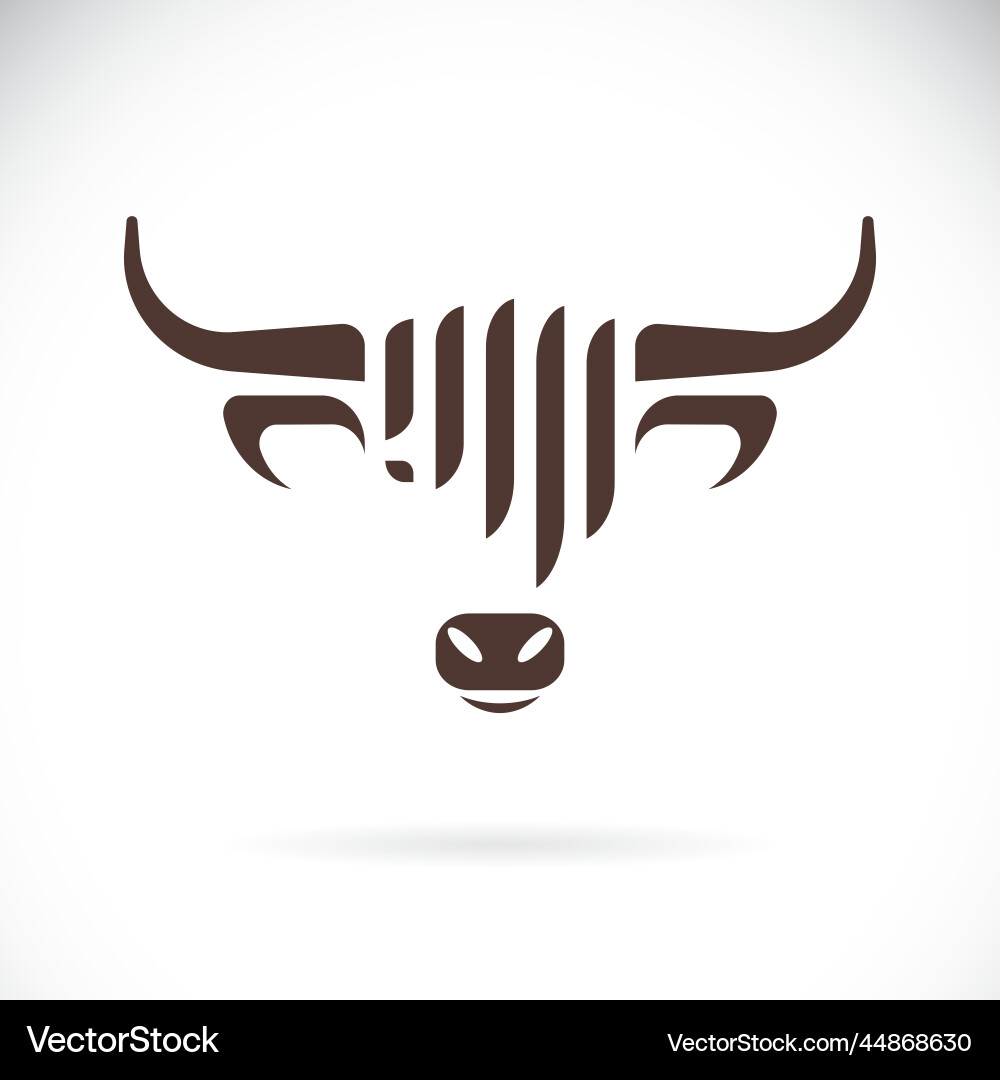 Highland cow head design on white background Vector Image
