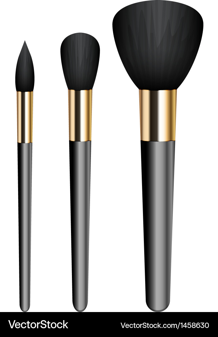 Make-up brushes Royalty Free Vector Image - VectorStock