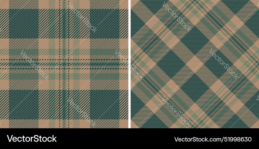 Texture pattern of textile tartan background Vector Image