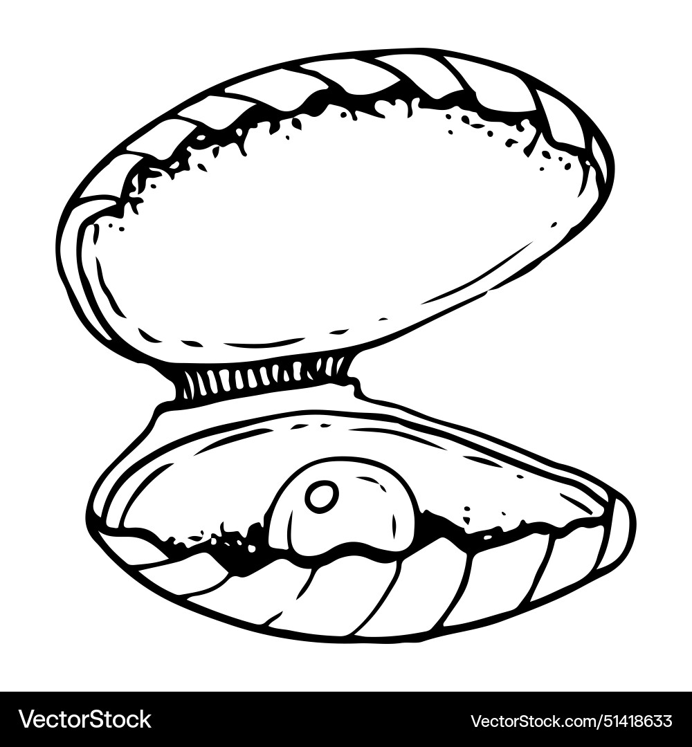 Pearl in sea shell black and white sketch Vector Image