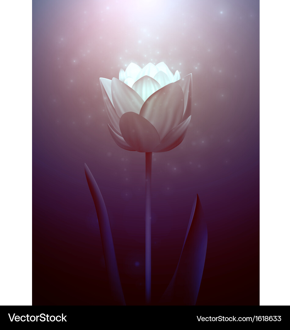 Realistic flower Royalty Free Vector Image - VectorStock