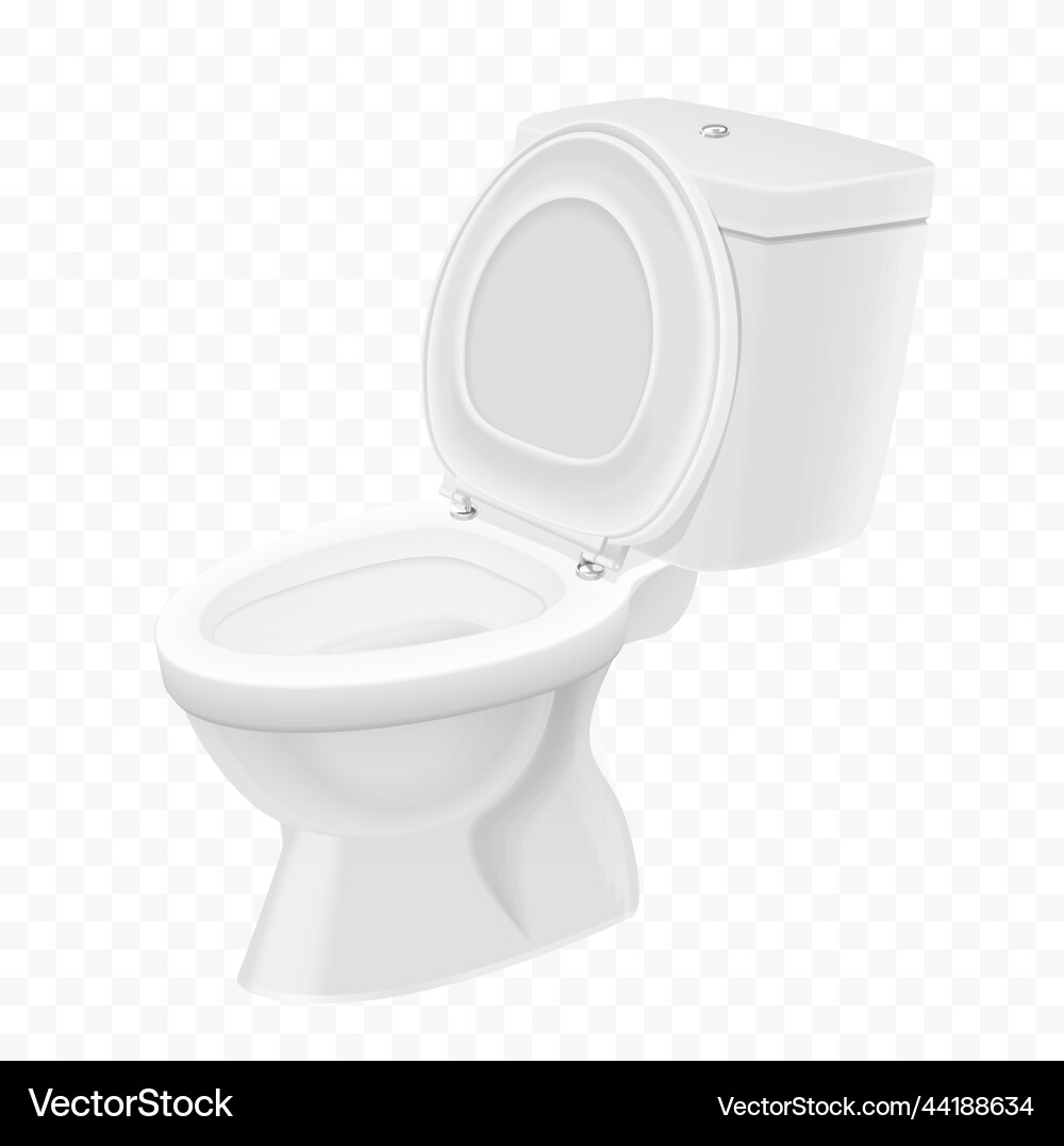 3d realistic toilet bowl Royalty Free Vector Image