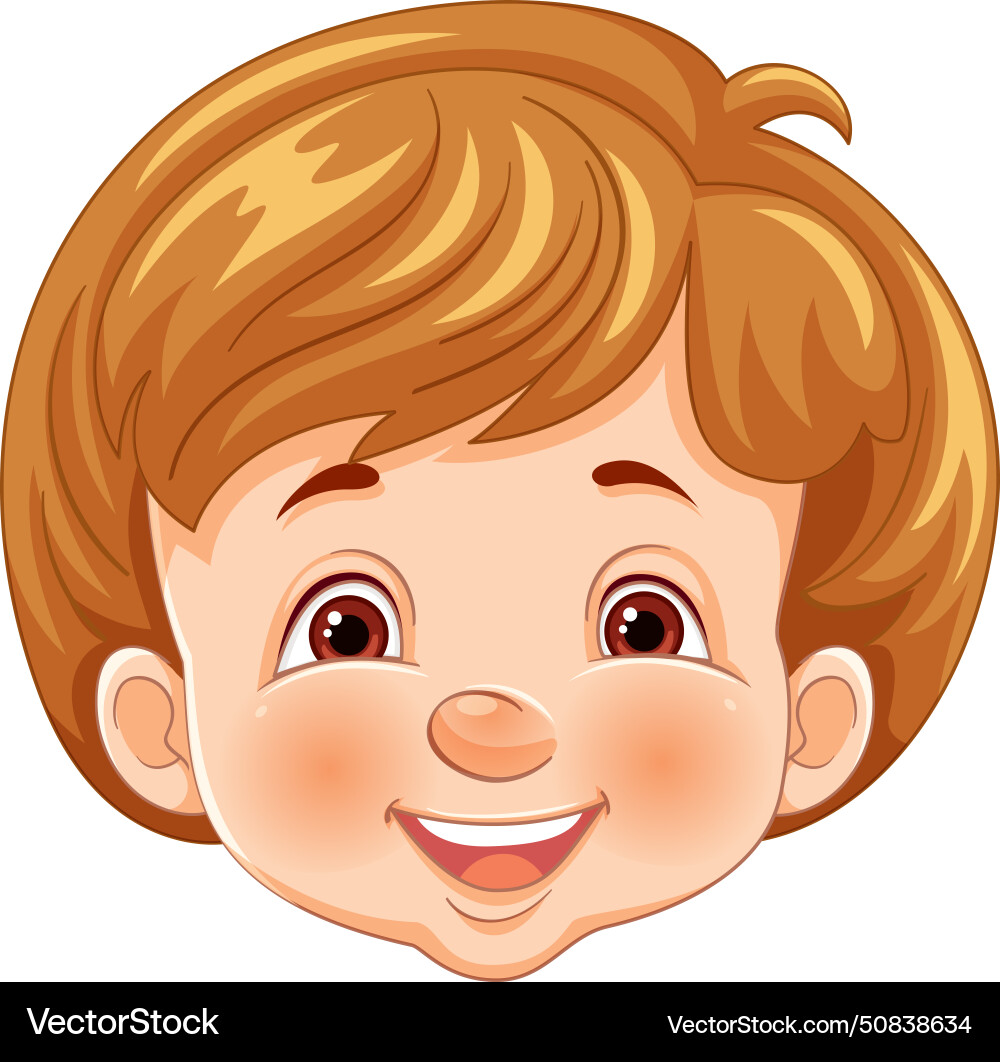 A happy young boys face Royalty Free Vector Image
