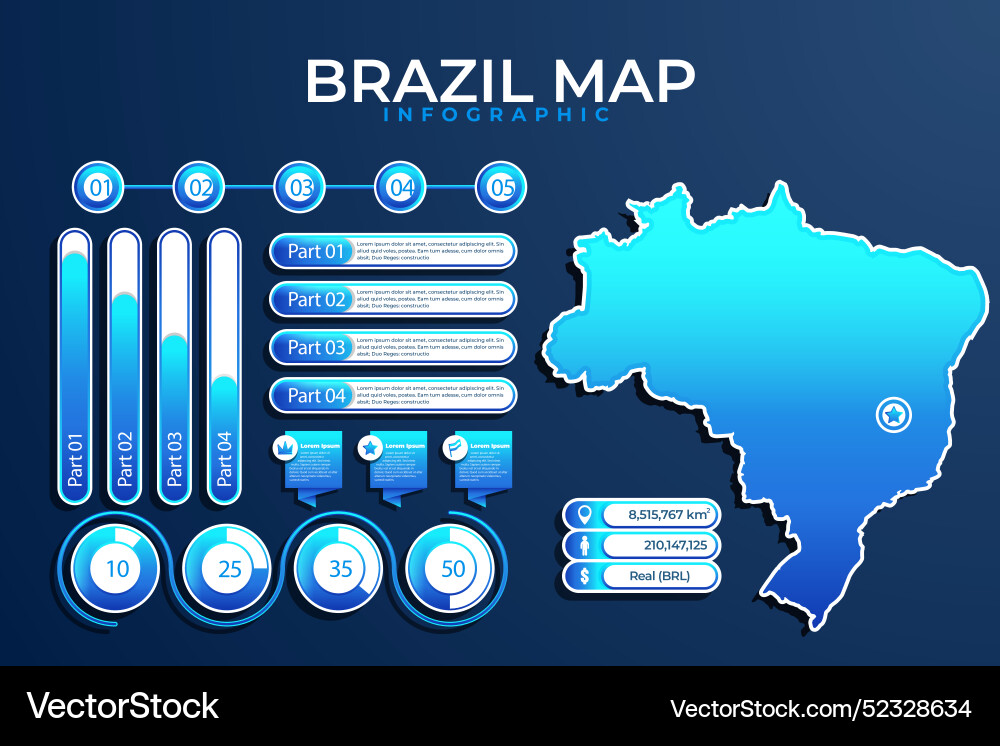 Gradient brazil map infographic Royalty Free Vector Image