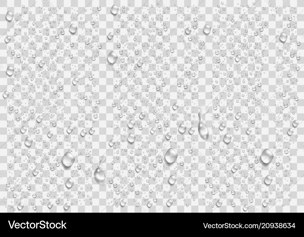 Water Droplets on Glass Royalty Free Vector Image