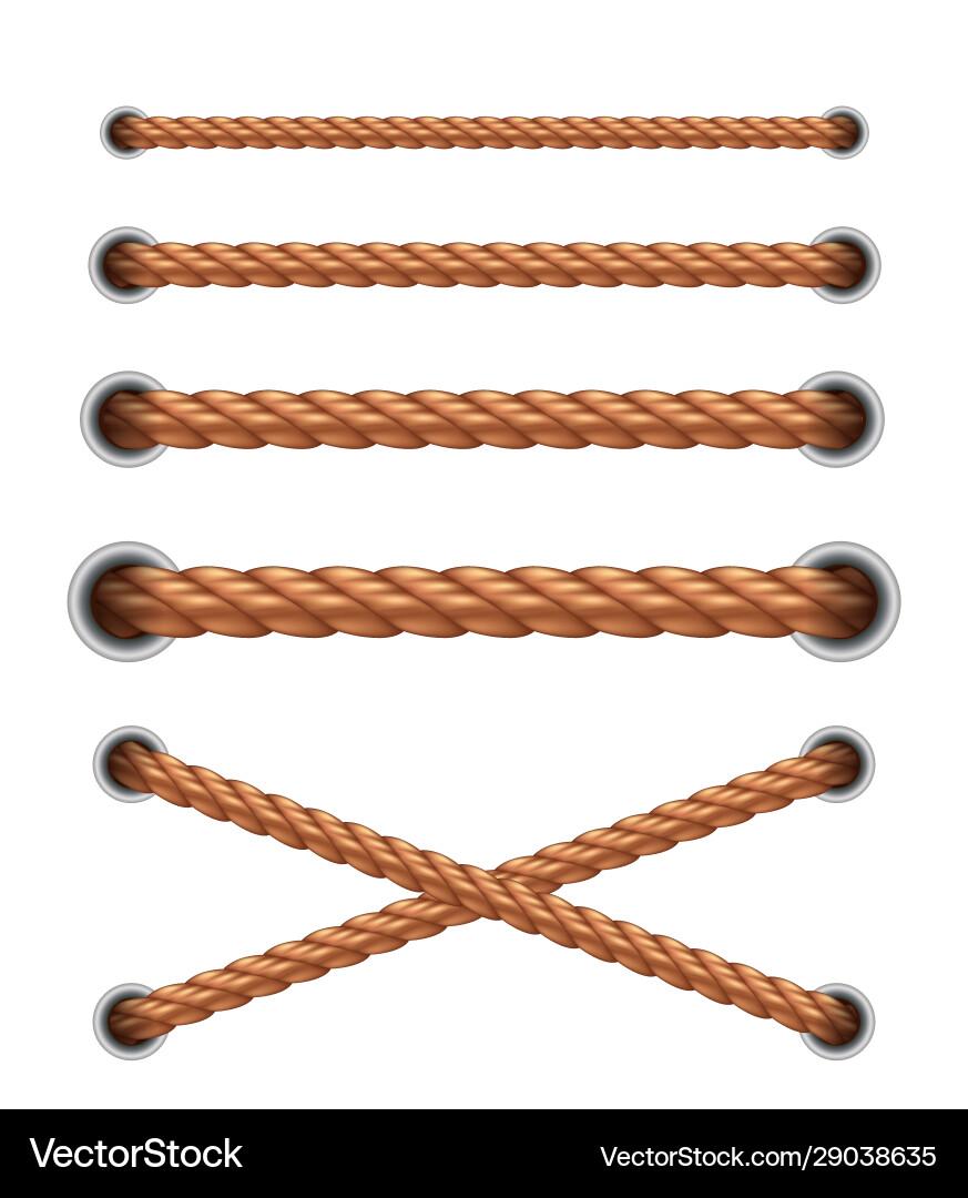 Collection various ropes string on white Vector Image