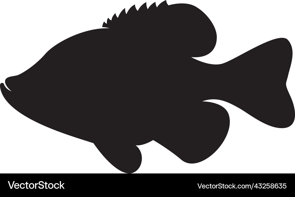 Crappie fish fishing template Royalty Free Vector Image