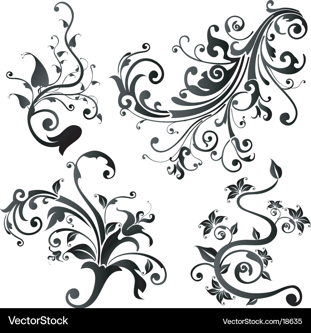 Floral design elements Royalty Free Vector Image