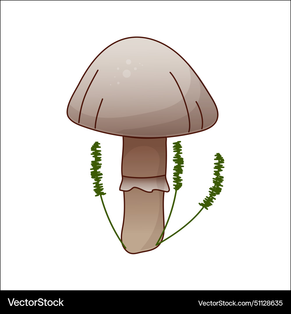 Mushroom isolated toadstool Royalty Free Vector Image